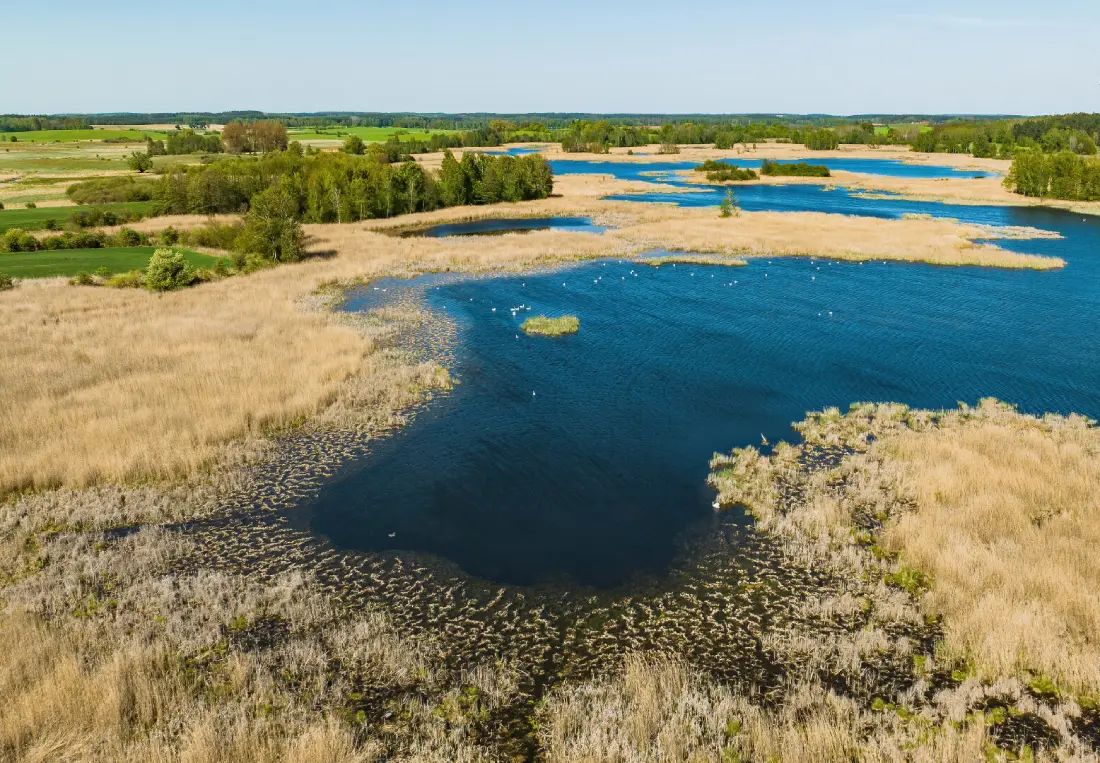 Jezioro Guber - Amatorskie Wędkowanie